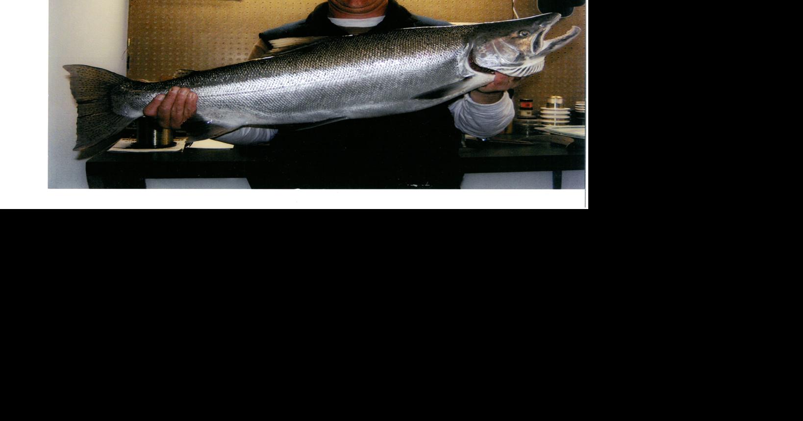 Trophy steelhead caught in Chetco | News | currypilot.com