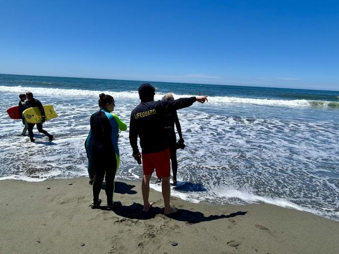 Curry County receives USLA Open Water Lifeguard Agency Certification ...