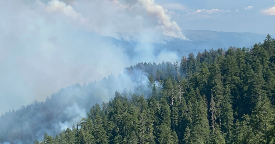Wildfire Update: South Fork Complex | News | currypilot.com