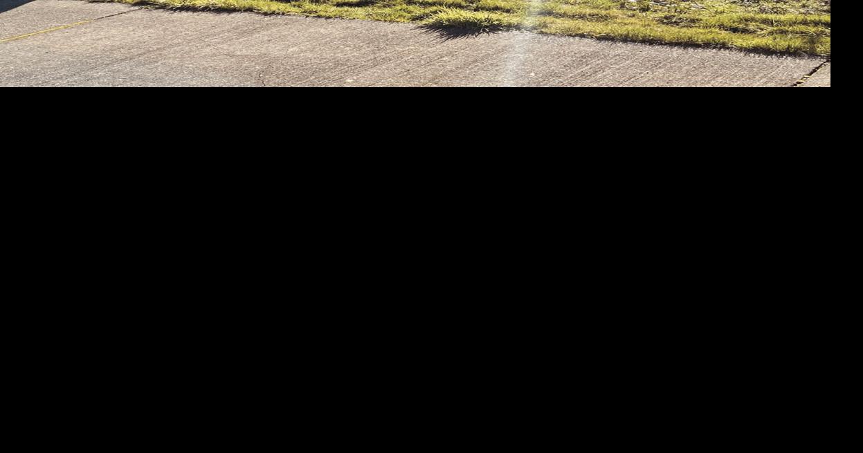 Salmon Run Golf Course making progress | Community | currypilot.com