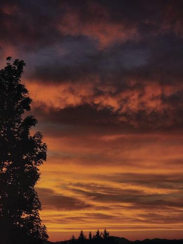 Joyce Hand | Obituaries | currypilot.com