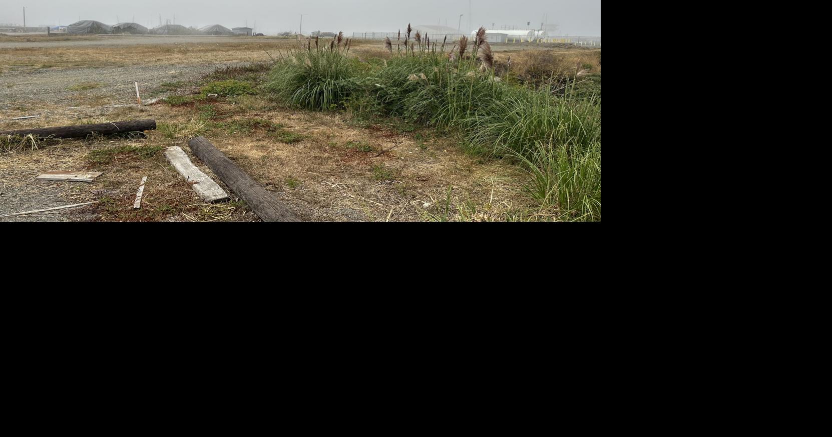 Big Dig: Port of Brookings Harbor to begin ambitious dredging plan ...