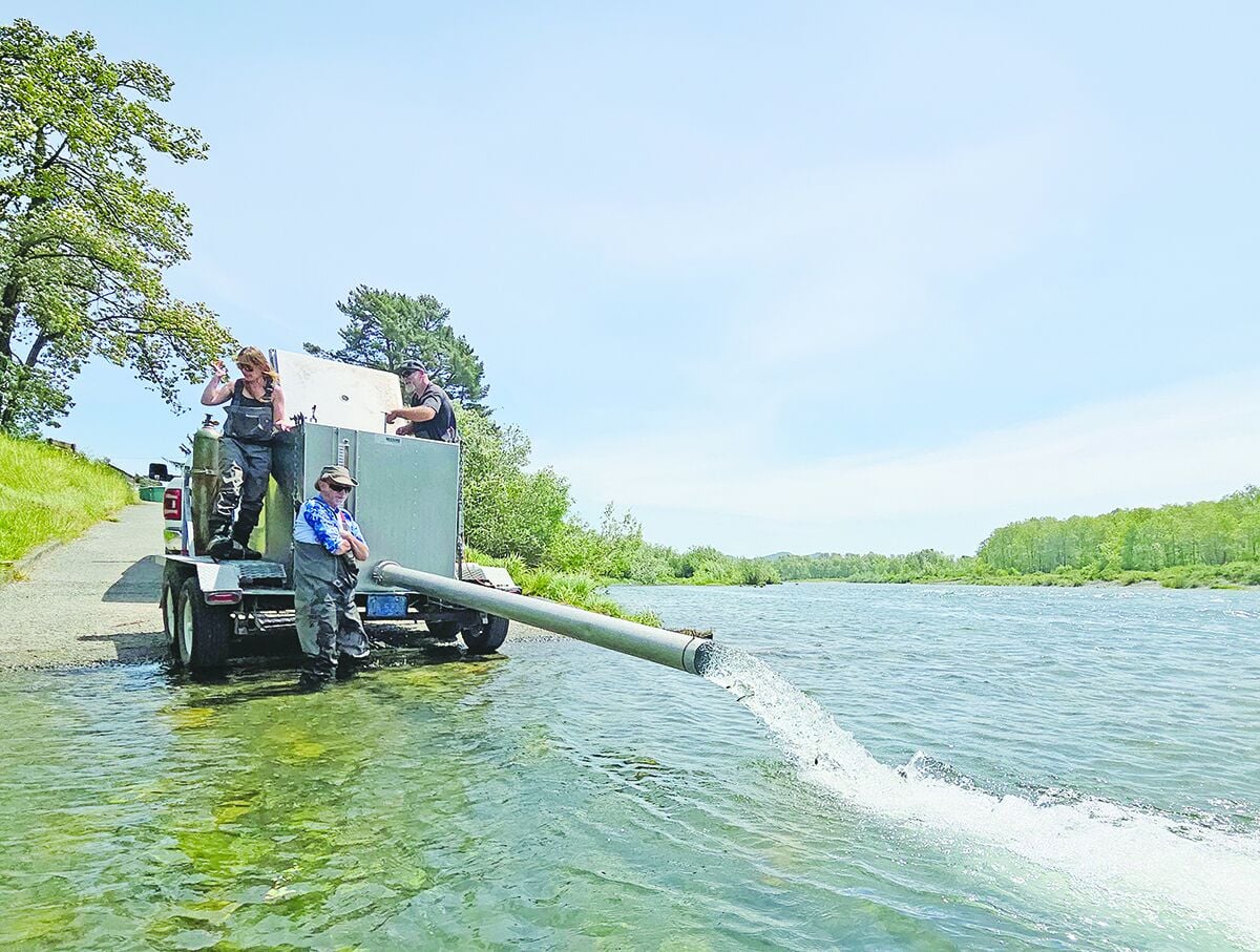 Tolowa Dee-ni' Nation releases 25,000 juvenile Chinook into Smith River ...