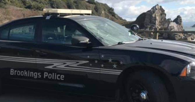 Brookings man arrested after allegedly firing shot during police ...