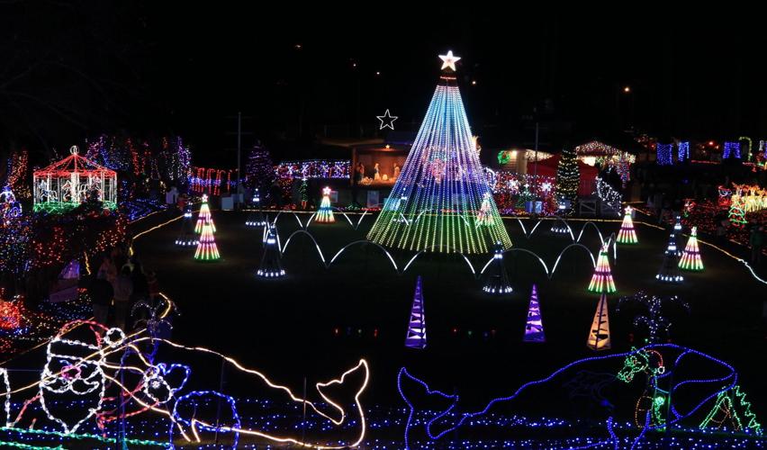 Photos / Christmas: 2023: Festival of Lights returns brighter than ever ...