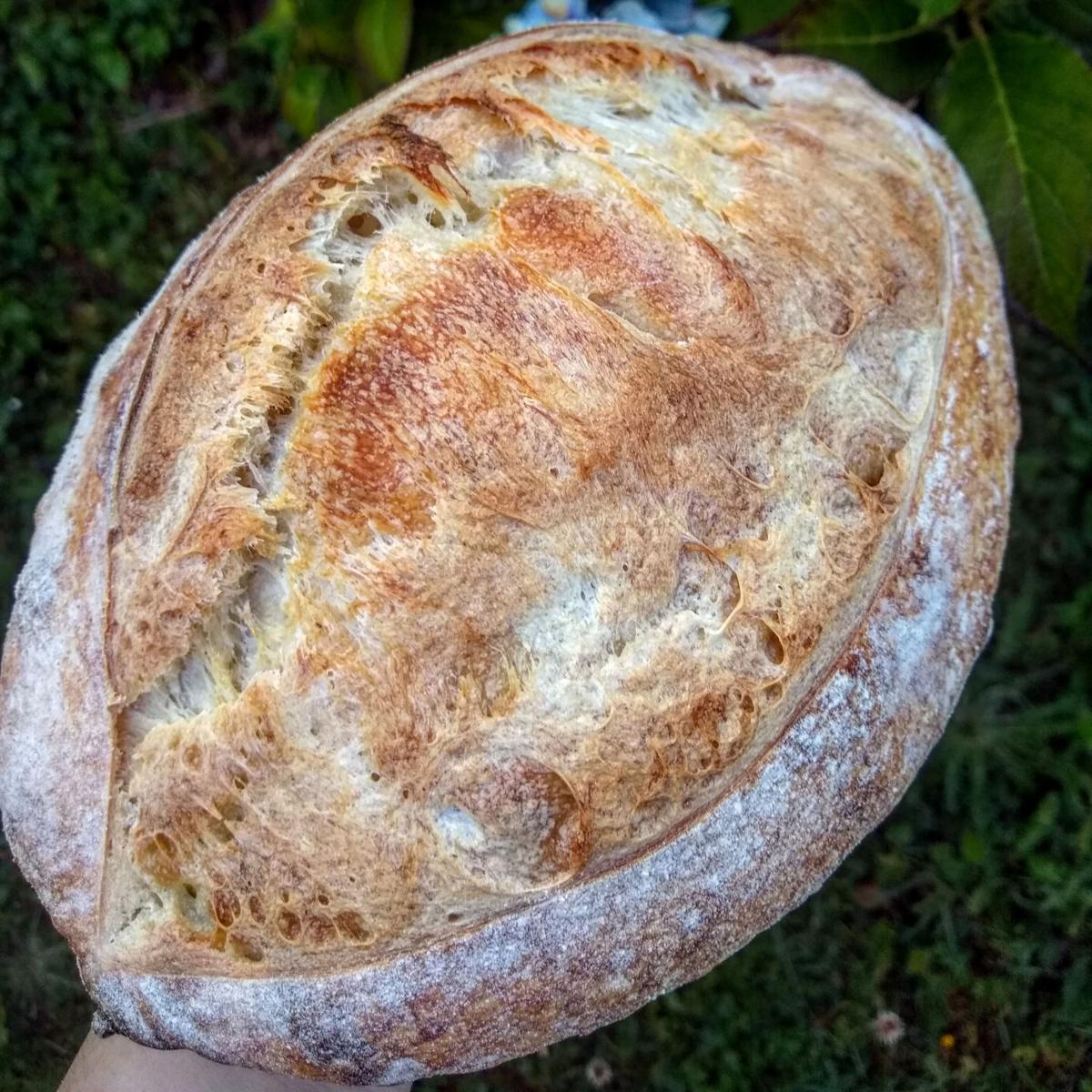 Business: Photos / Leavened bakery opens retail window | News Paid ...