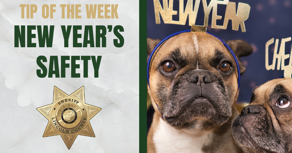 Tip of the Week: New Year's Safety | News | currypilot.com