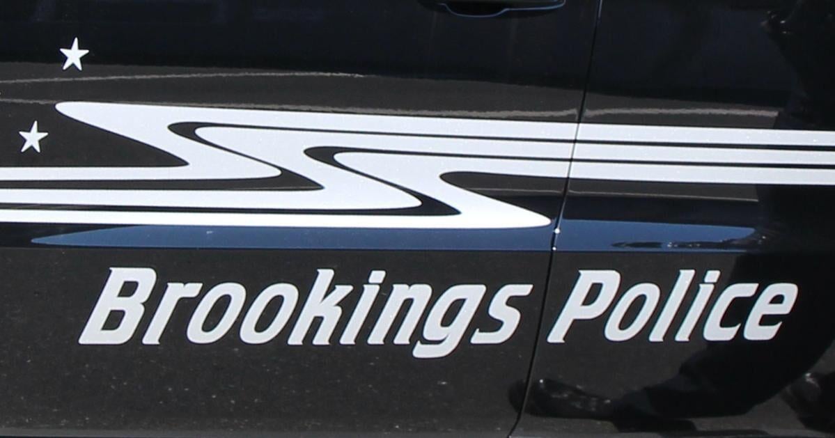 Police Blotter | News | currypilot.com