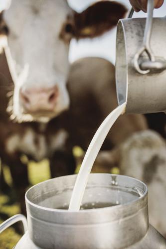 OHA Issues raw milk advisory | News | currypilot.com
