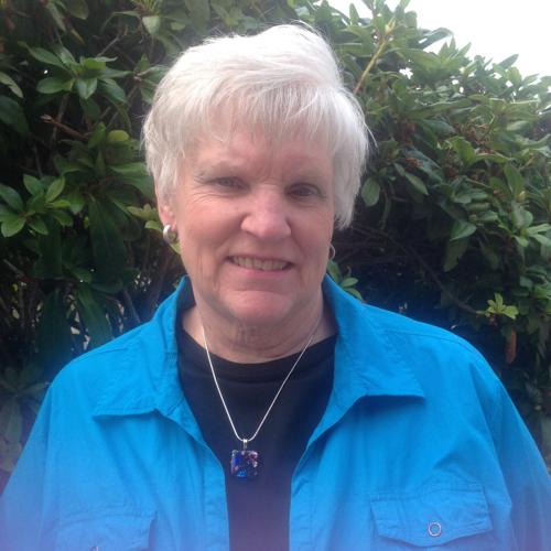 Election 2020: Curry County Commissioner Pos. 2, Sue Gold | News ...