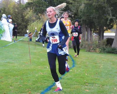 Cole looks to improve on freshman times in senior campaign | Sports ...