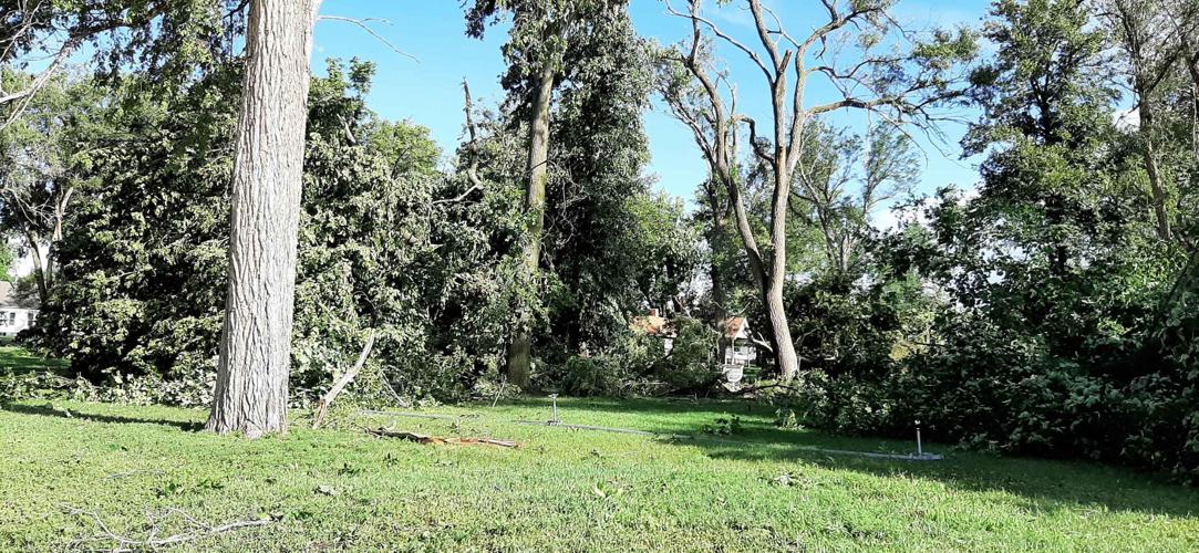 Heavy storm damage in Callaway, trees down everywhere | News ...