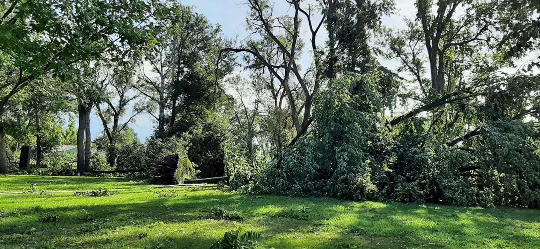 Heavy storm damage in Callaway, trees down everywhere | News ...