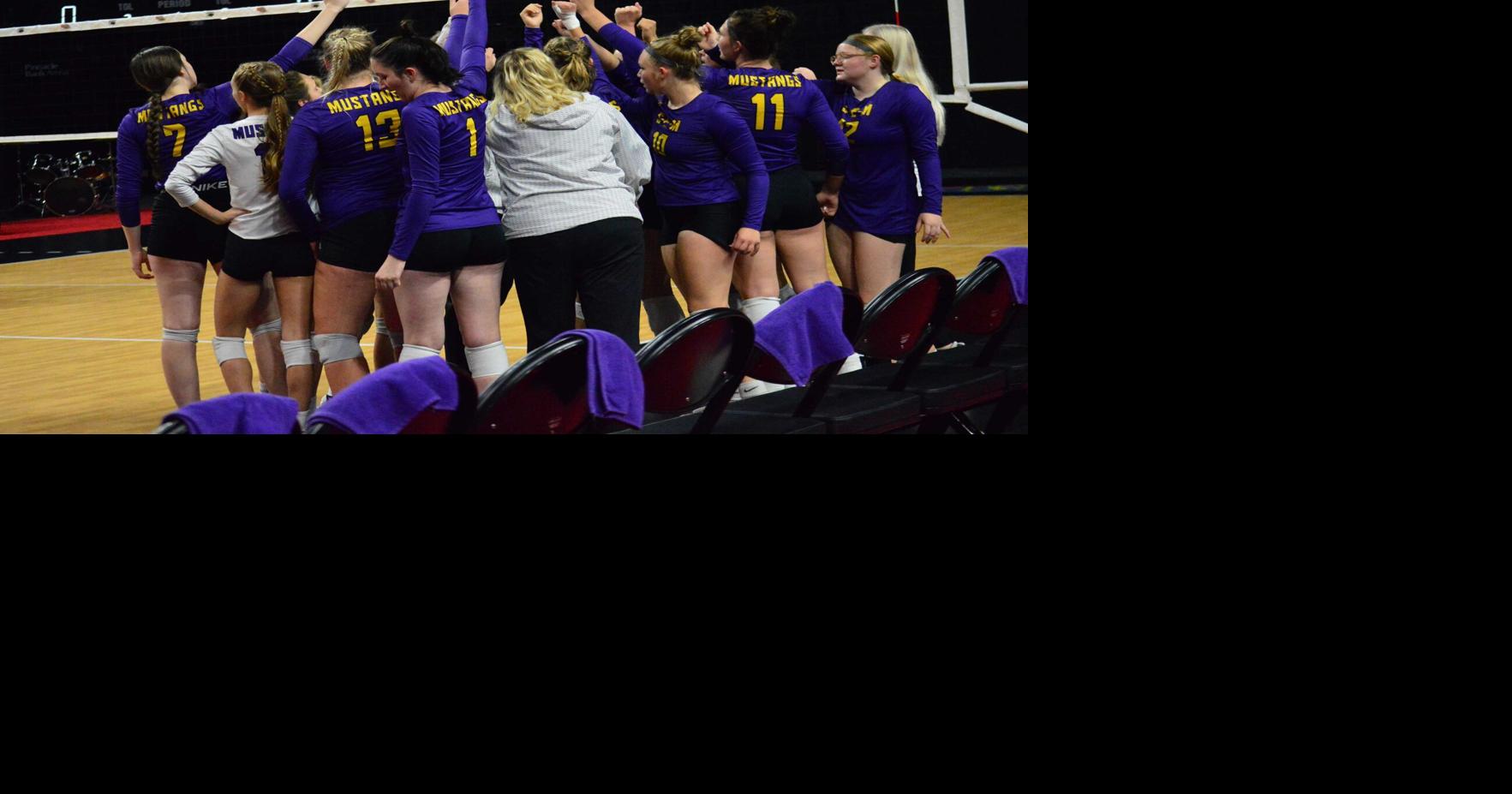 SEM Lady Mustangs compete at State | Sports | custercountychief.com