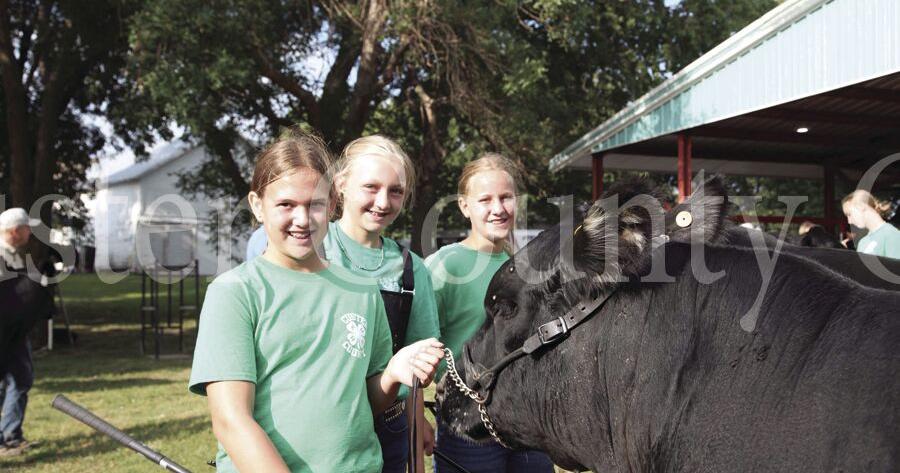 Some 4-H photos at the 2024 Custer County Fair | News | custercountychief.com