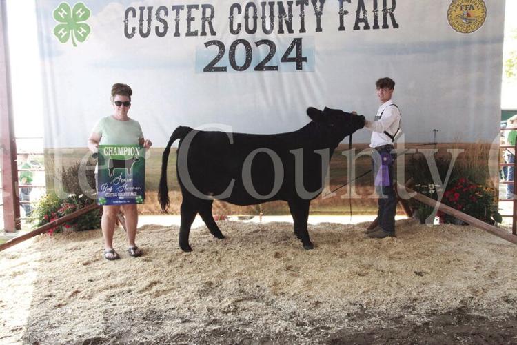 Some 4-H photos at the 2024 Custer County Fair | News | custercountychief.com