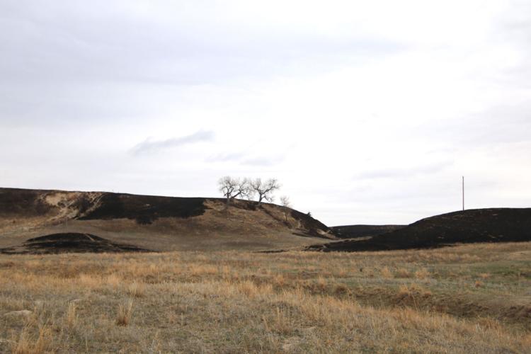 Fires destroy home, pastureland | News | custercountychief.com