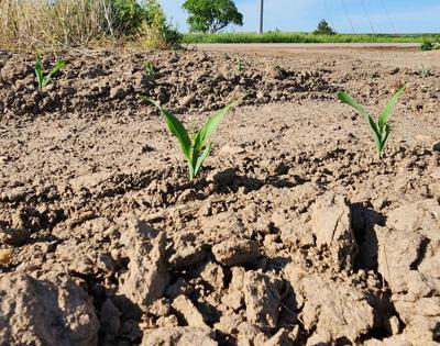 Don’t miss the Nebraska Soil Health School, free, in North Platte ...