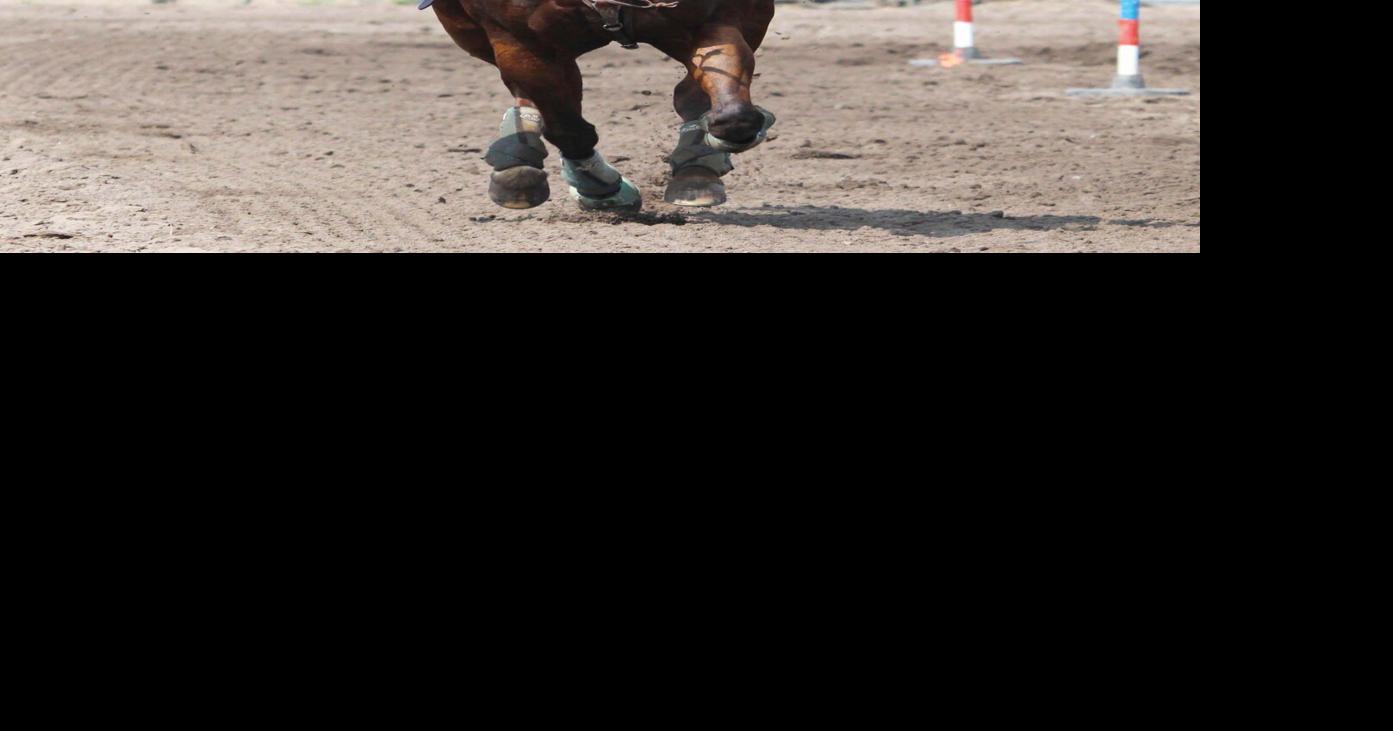 Success in rodeo runs in the family of Madison Mills | Sports ...