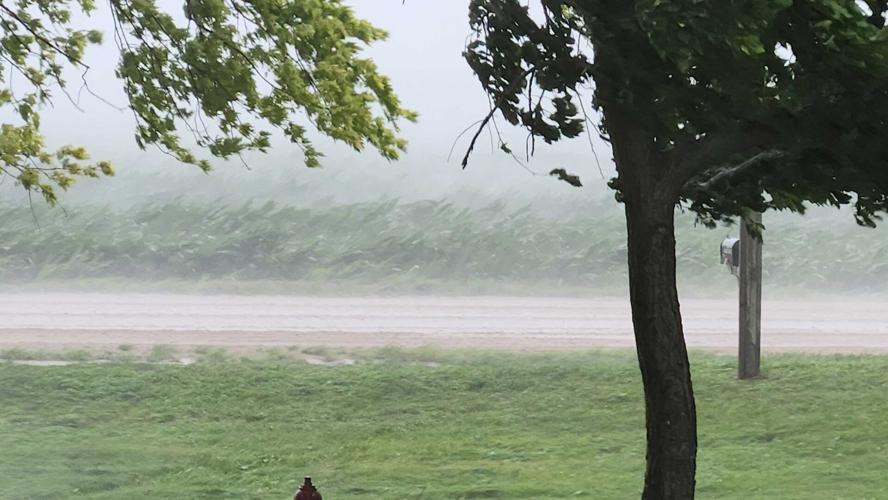 Storm damage | News | custercountychief.com