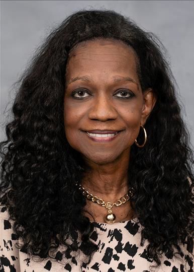 Bazemore looking to connect with voters in 10-county 3rd Senate ...