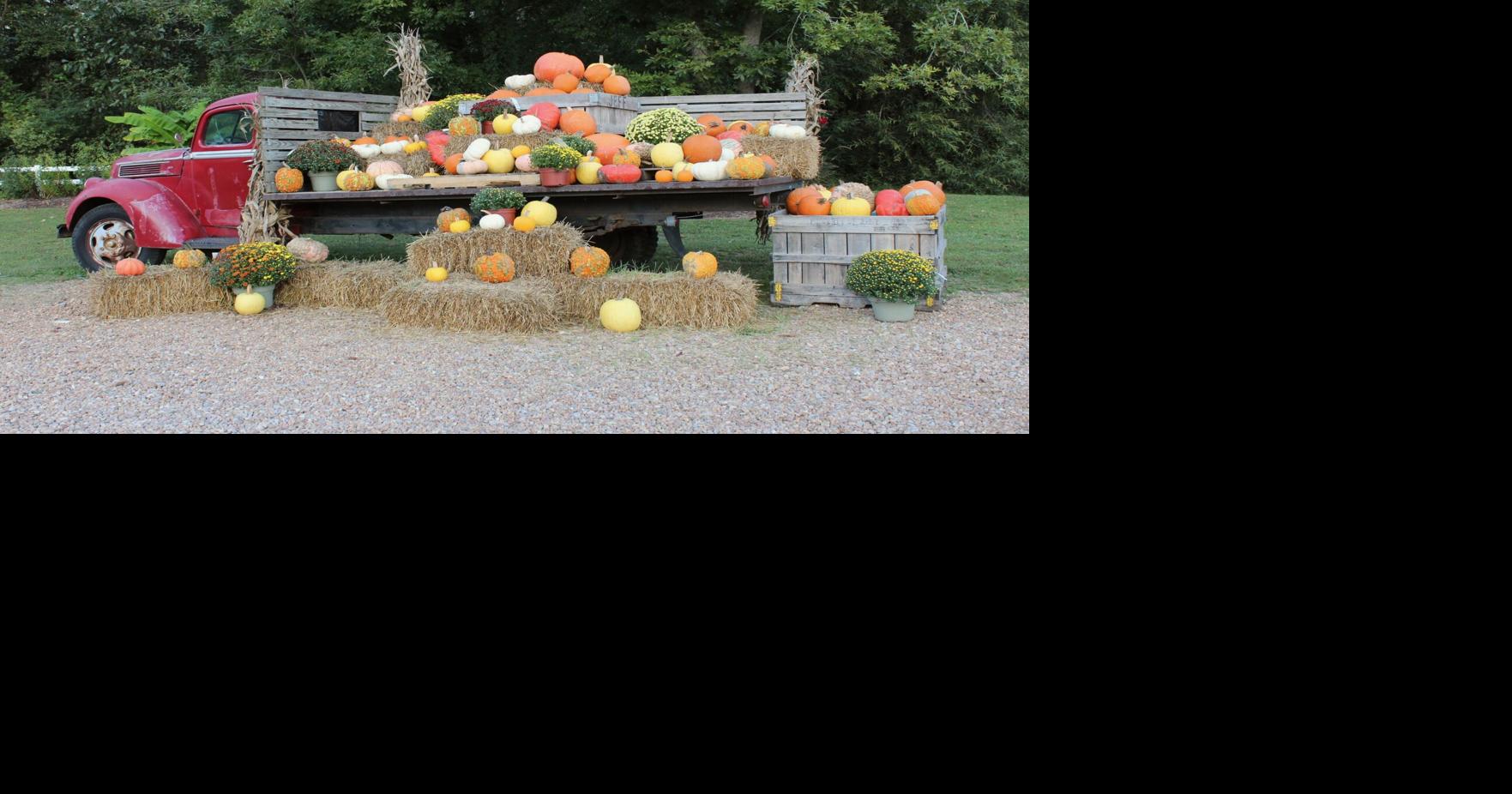 Holidaydecor 2 | Local News | dailyadvance.com