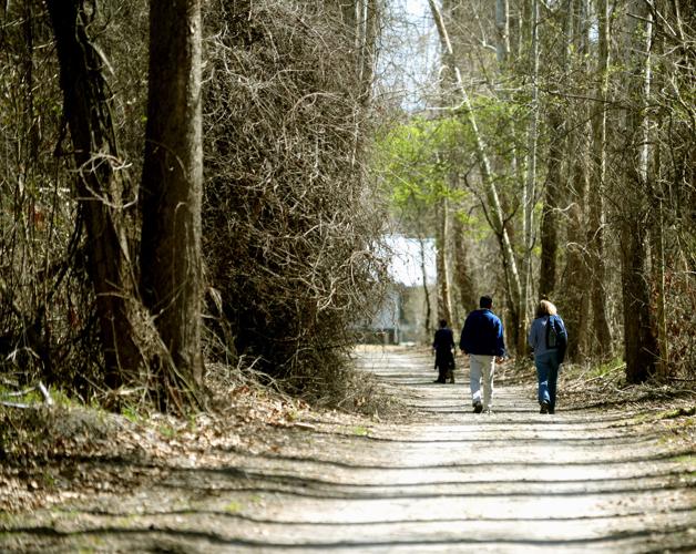 Nice day at Dismal Swamp State Park | Multimedia | dailyadvance.com