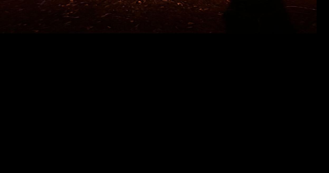 Courthouse lights up during annual Grand Illumination | News ...