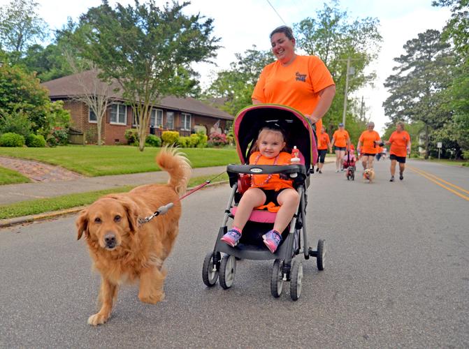 Cause for Paw Charity Dog Walk, 2019 | Multimedia | dailyadvance.com