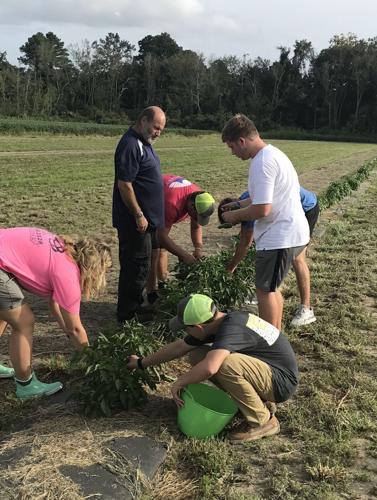 COA leases demonstration farm for students on Creek Road | Local News ...