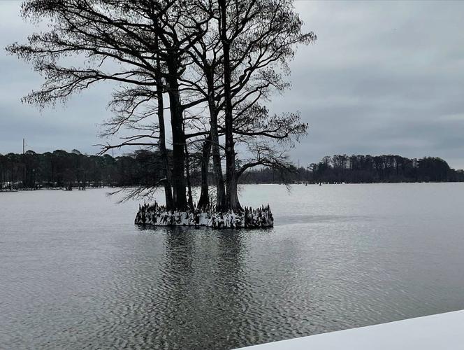 Snow Fall in Chowan County | Multimedia | dailyadvance.com