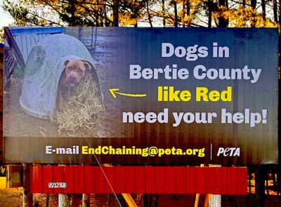PETA places billboard in Bertie County | News | dailyadvance.com