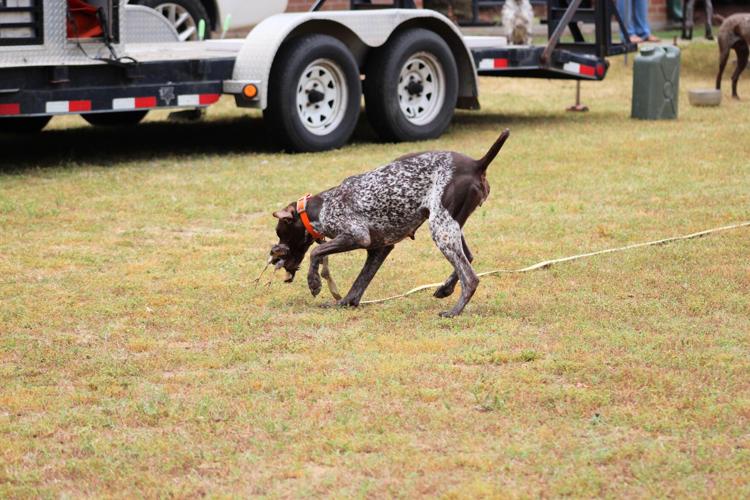 Perquimans Outdoorsman Expo held May 12 | | dailyadvance.com