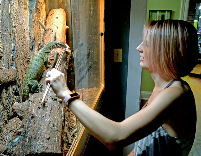 OBX Lizard Land | Multimedia | dailyadvance.com