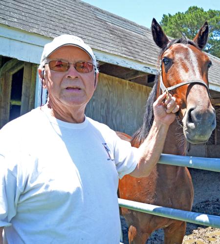 Bartlett fond of champion harness racing horse Forrest Skipper | Local ...