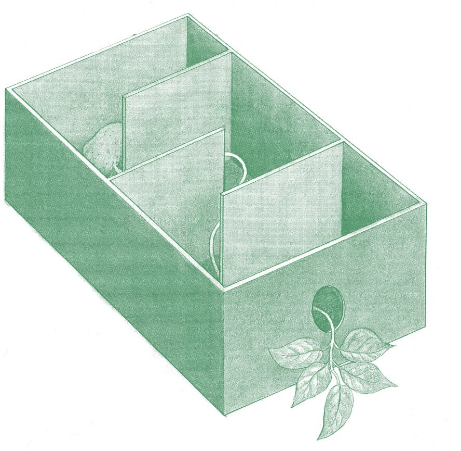 4-H at home: Make a potato maze | Features | dailyadvance.com