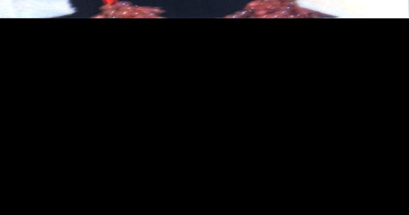 Edenton Lions learn about work of social services department | News ...