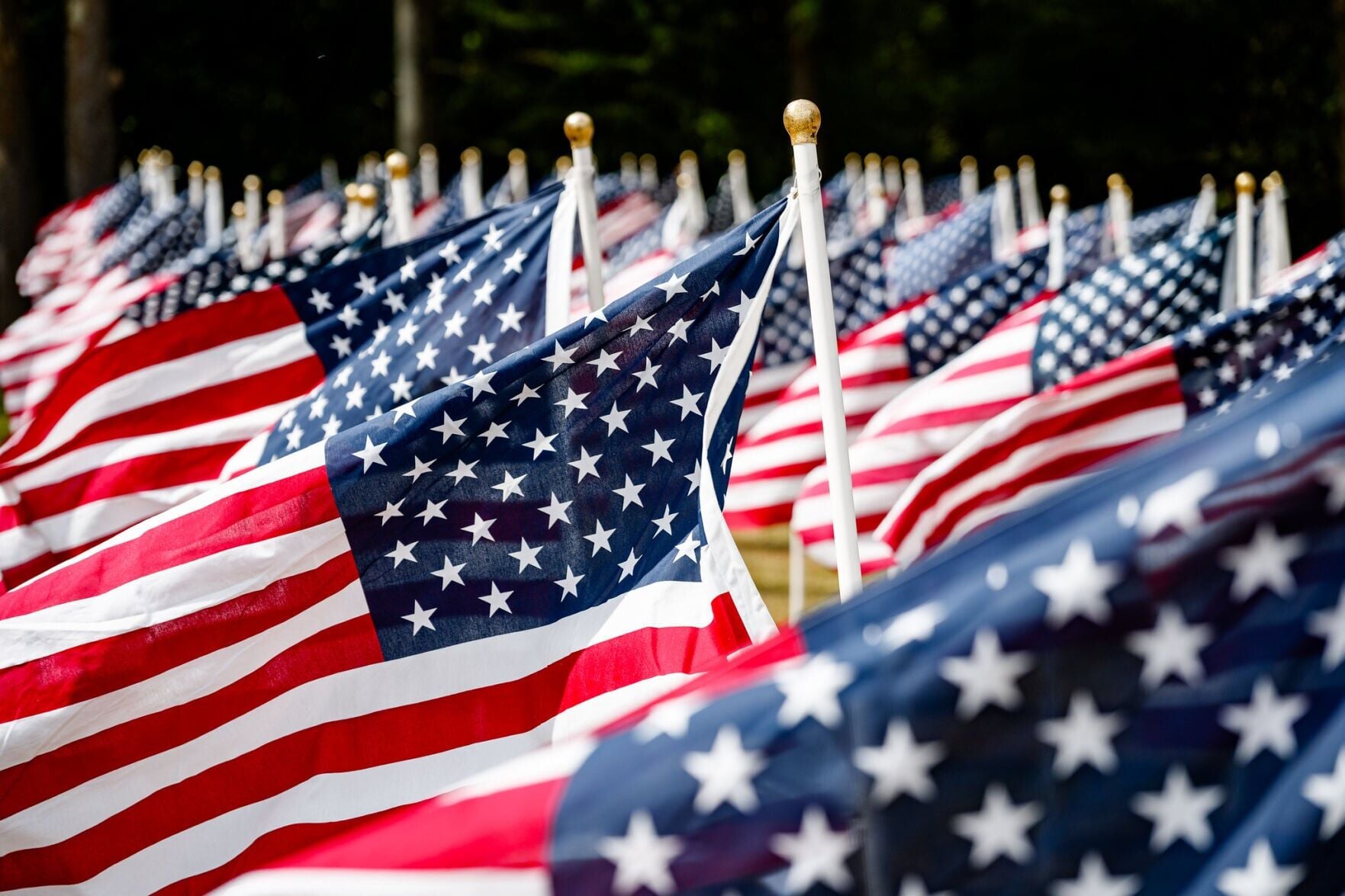 Elon Poll: Proud but uneasy public as America celebrates 250th ...