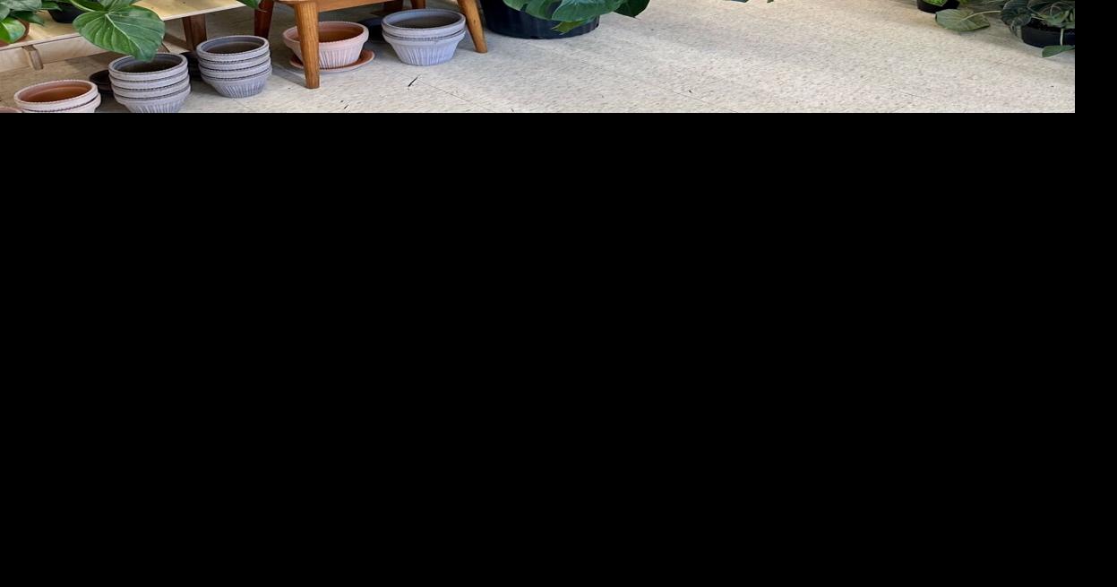 What's Up: Chamber of Commerce to hold ribbon cutting for Roots Plant ...