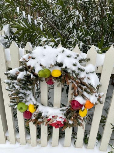 Snow Fall in Chowan County | Multimedia | dailyadvance.com