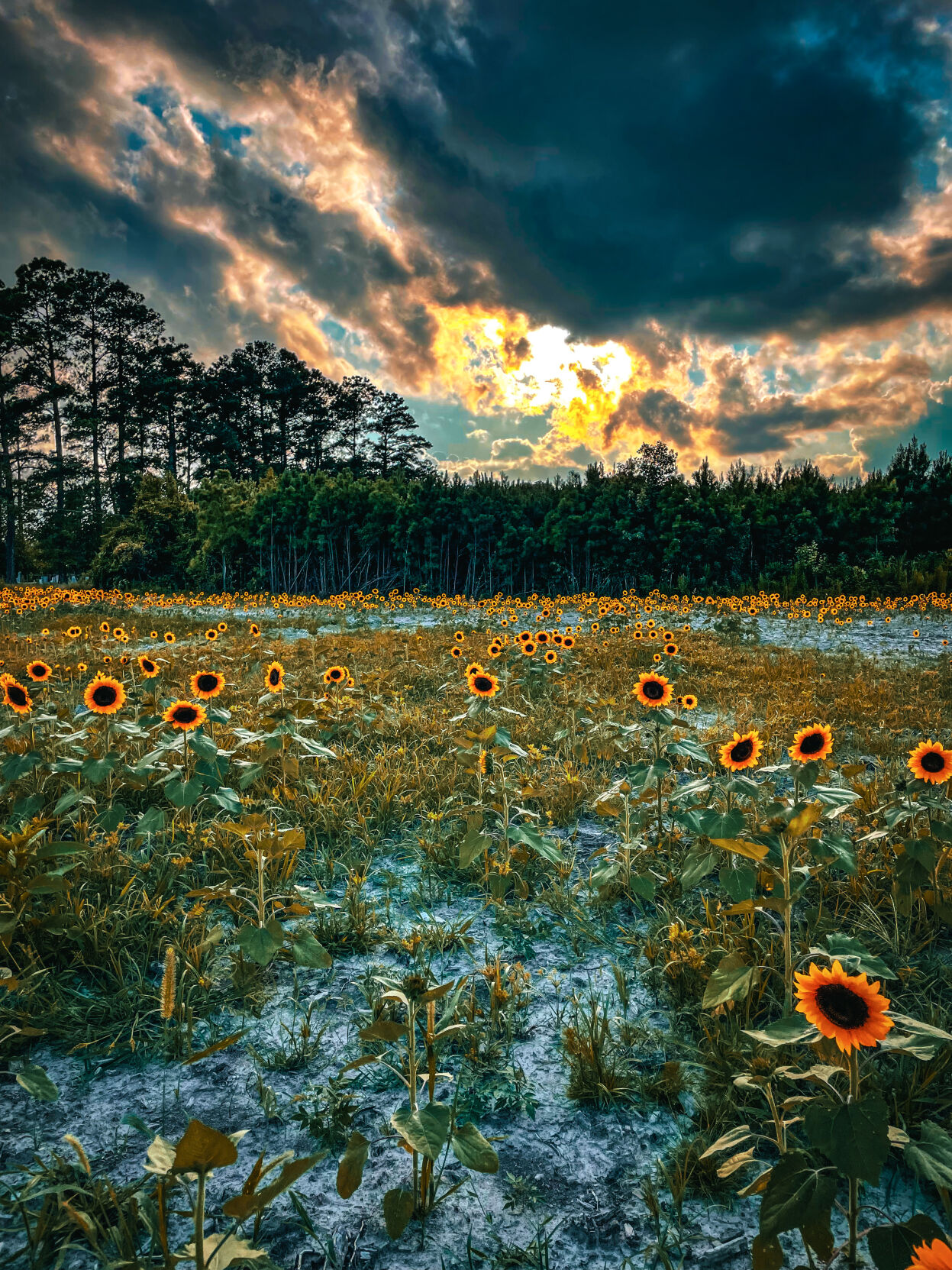 TDA announces #CaptureCamdenNC Photo Contest winners | Local News ...