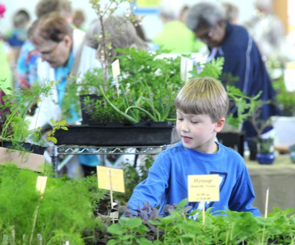 Master gardeners Garden Show | Multimedia | dailyadvance.com