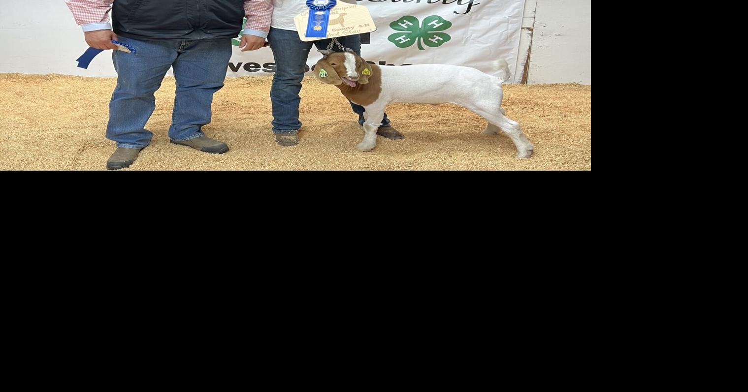 4-H holds livestock show in Edenton | News | dailyadvance.com