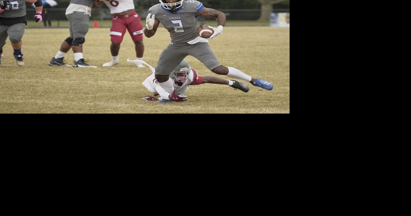 Vikings fall 42-20 to visiting Panthers | | dailyadvance.com