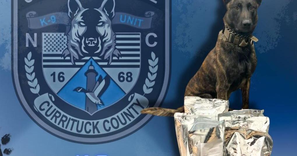 Currituck K9 sniffs out narcotics at mail facility | Local News ...