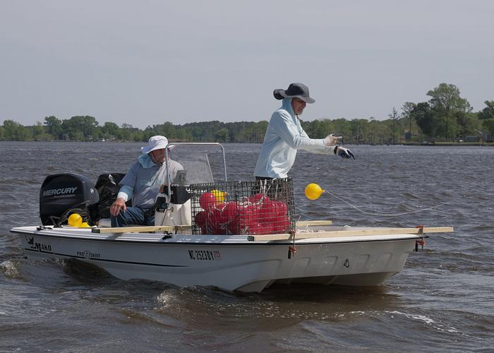 Elizabeth City Rowing to host 11-team regatta | Local | dailyadvance.com
