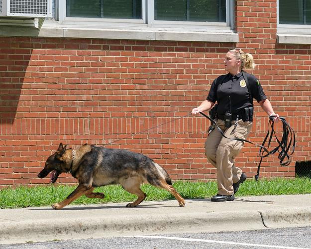 Thor's on the case: ECSU police train with new bomb dog | Local News ...