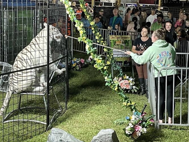Chowan Regional Fair underway: 'Tiger Experience' wows opening night ...