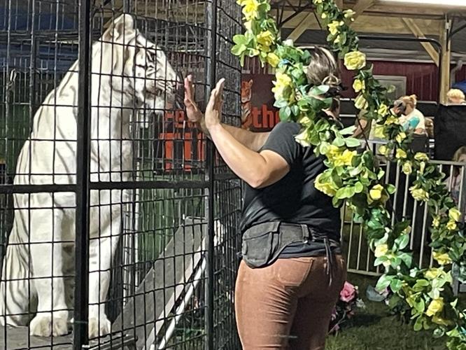 78th Chowan Regional Fair gets underway | | dailyadvance.com