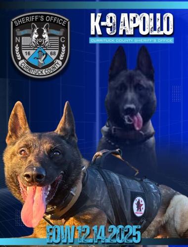 Currituck Sheriff announces passing of K9 Apollo | Local News ...
